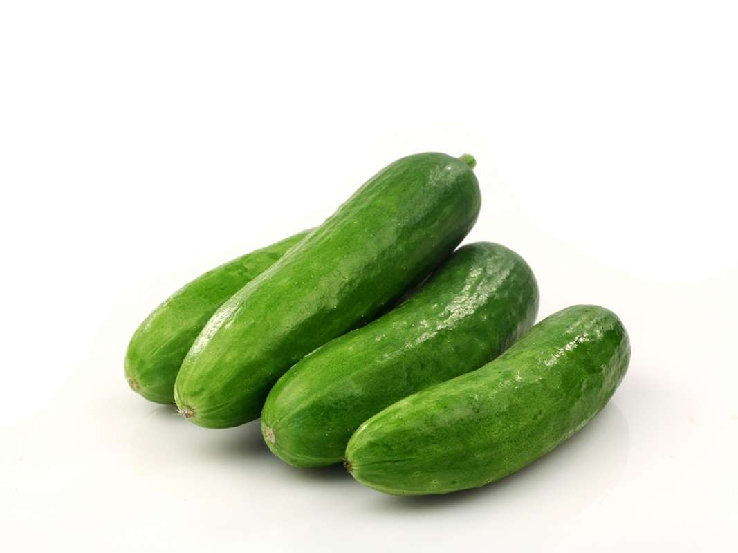 Concombre snack mini BIO, Espagne | La belle vie : Changez votre vision ...