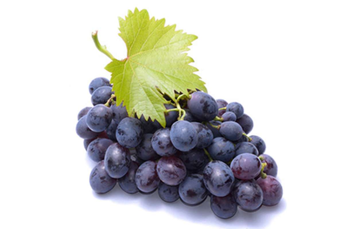 Raisin muscat noir | La Belle Vie : Changez votre vision des courses