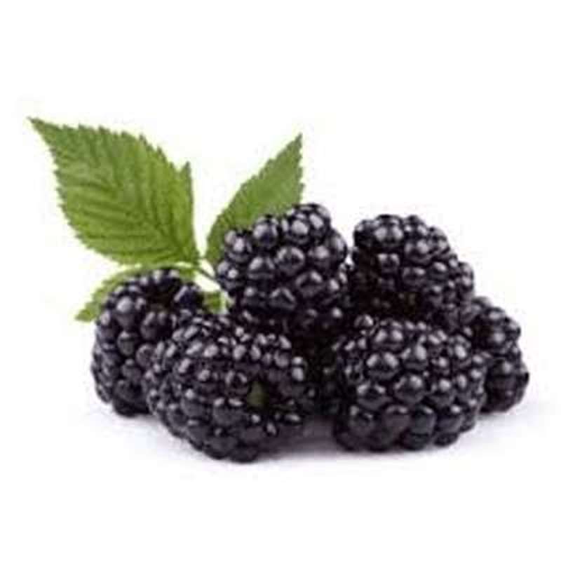 Barquette de mûres BIO (125 g), France | La Belle Vie : Courses en ...