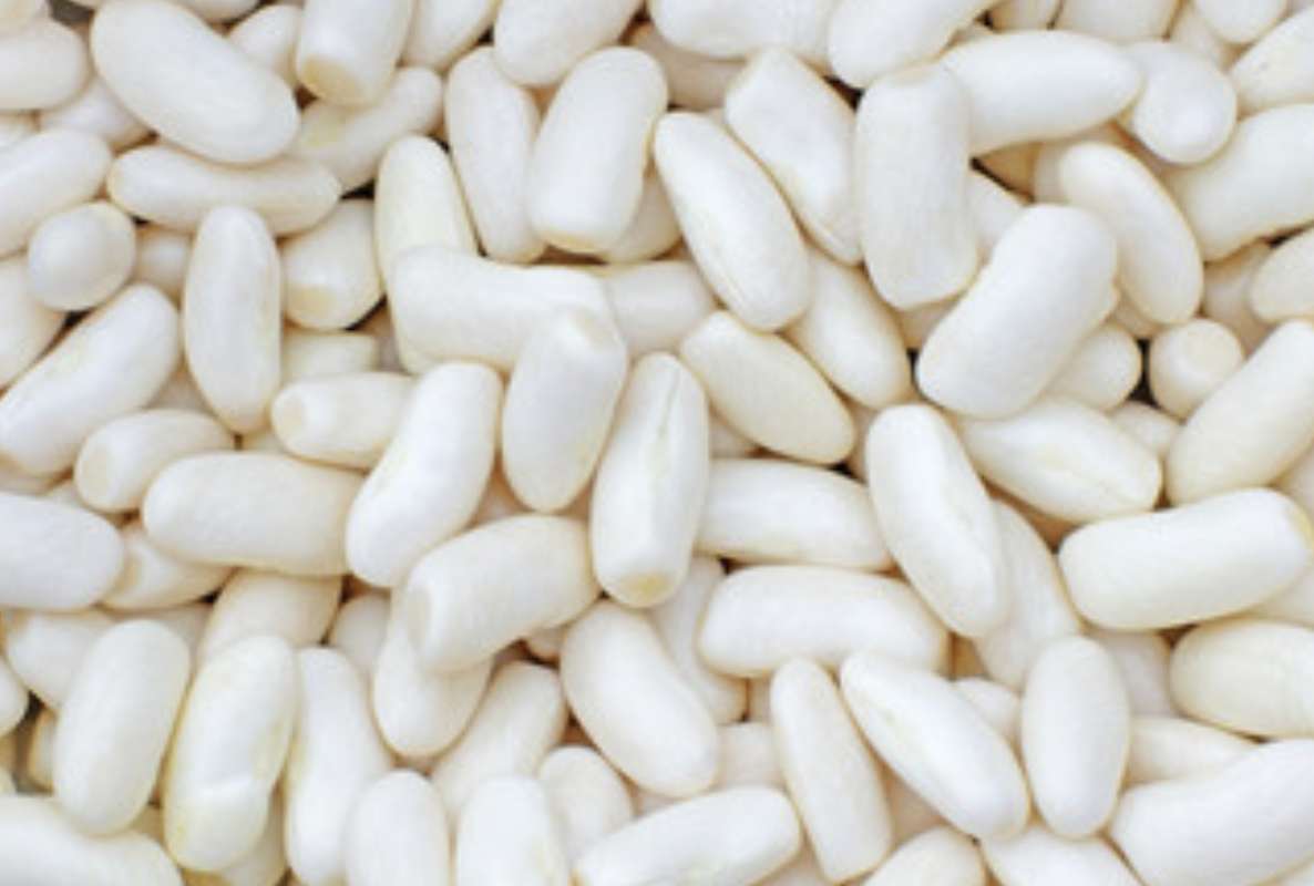 Haricot lingot blanc secs, Legumor (500 g) | La belle vie : Changez ...