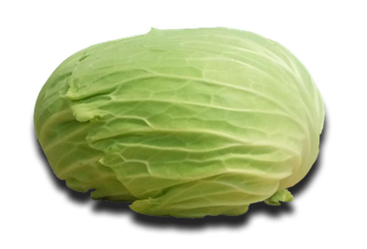 Chou plat Choudou BIO, France | La belle vie : Changez votre vision des ...