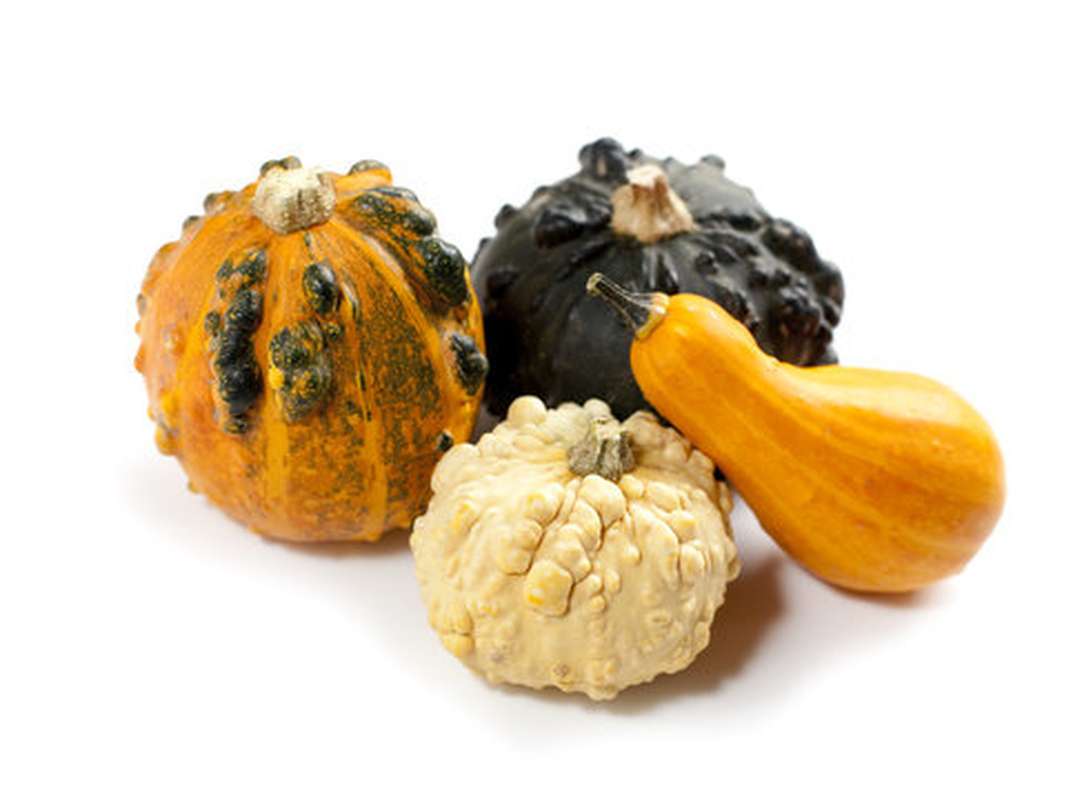 Lot de 4 coloquintes, France | La Belle Vie : Courses en Ligne ...