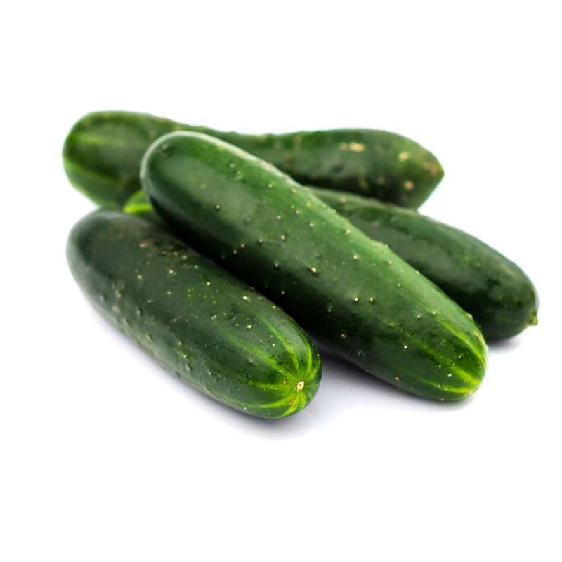Concombre court noa BIO (calibre moyen), France | La Belle Vie ...