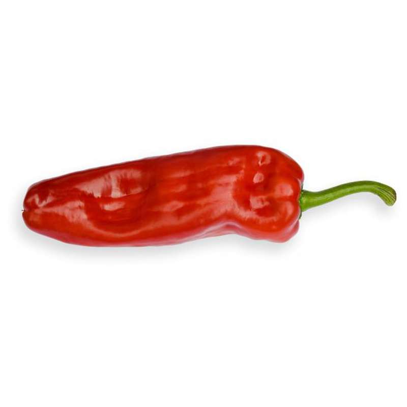 Corne de boeuf rouge (calibre moyen), Maroc | La belle vie : Changez ...