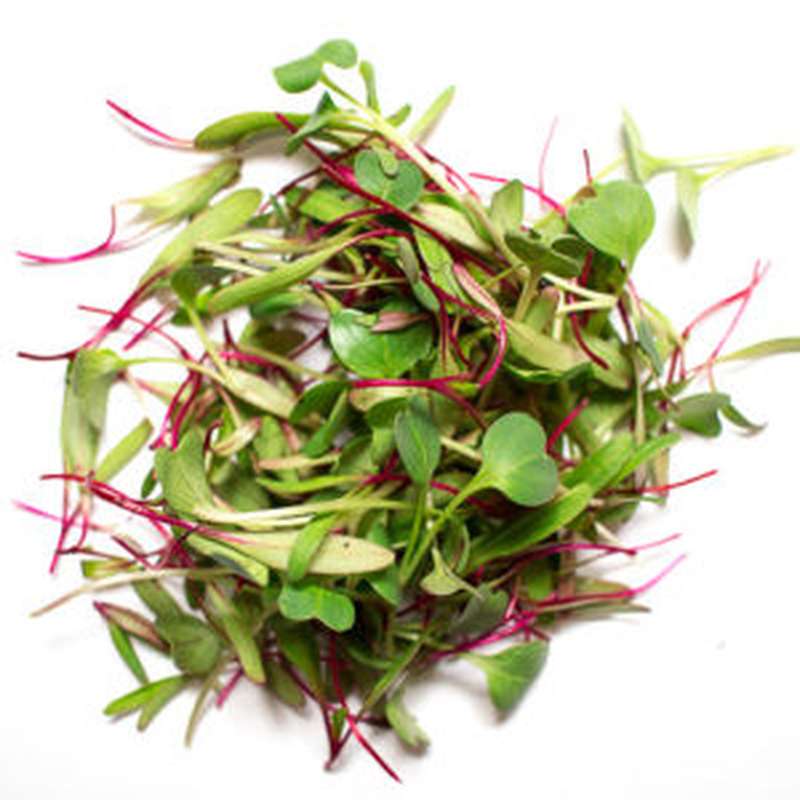 ECHANTILLON GRATUIT Micro-pousses méli mélo de saison locale Ile-de ...