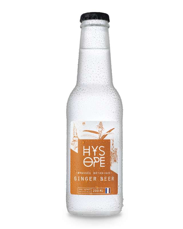 Ginger Beer BIO, Hysope (20 cl) | La Belle Vie : Changez votre vision ...
