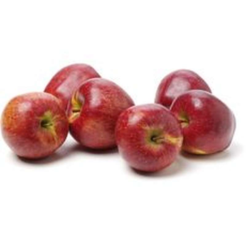 Lot de 6 pommes bicolores Dalinette DEMETER BIO (calibre moyen), France ...