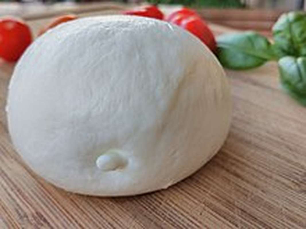 Mozzarella de bufflone Campana D.O.P (100 g) | La Belle Vie : Courses ...