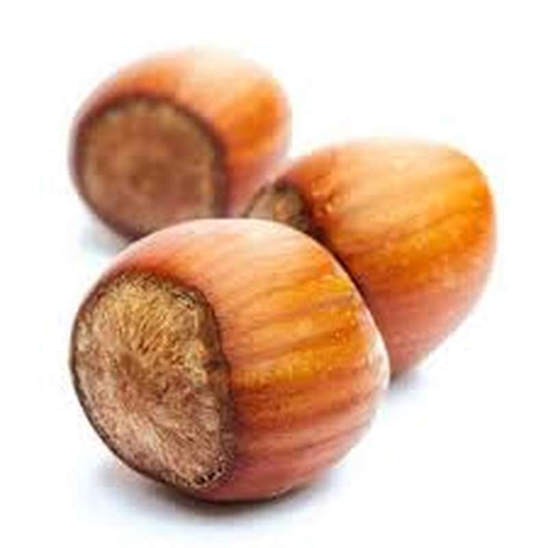 Noisettes sèches avec coque (environ 300 g), France | La belle vie ...