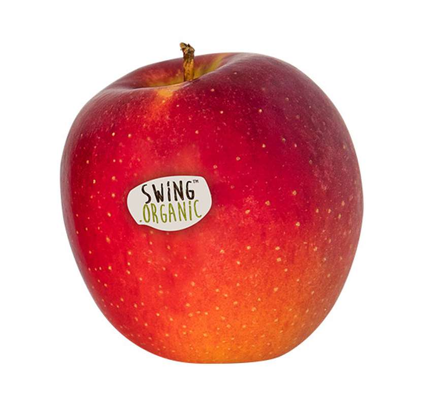Pomme Swing BIO (petit calibre), France | Bam courses : Le plus grand ...
