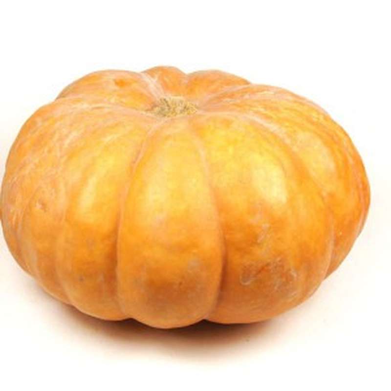 Citrouille / potiron muscade BIO (de 7 à 8 kg) (gros calibre), France ...