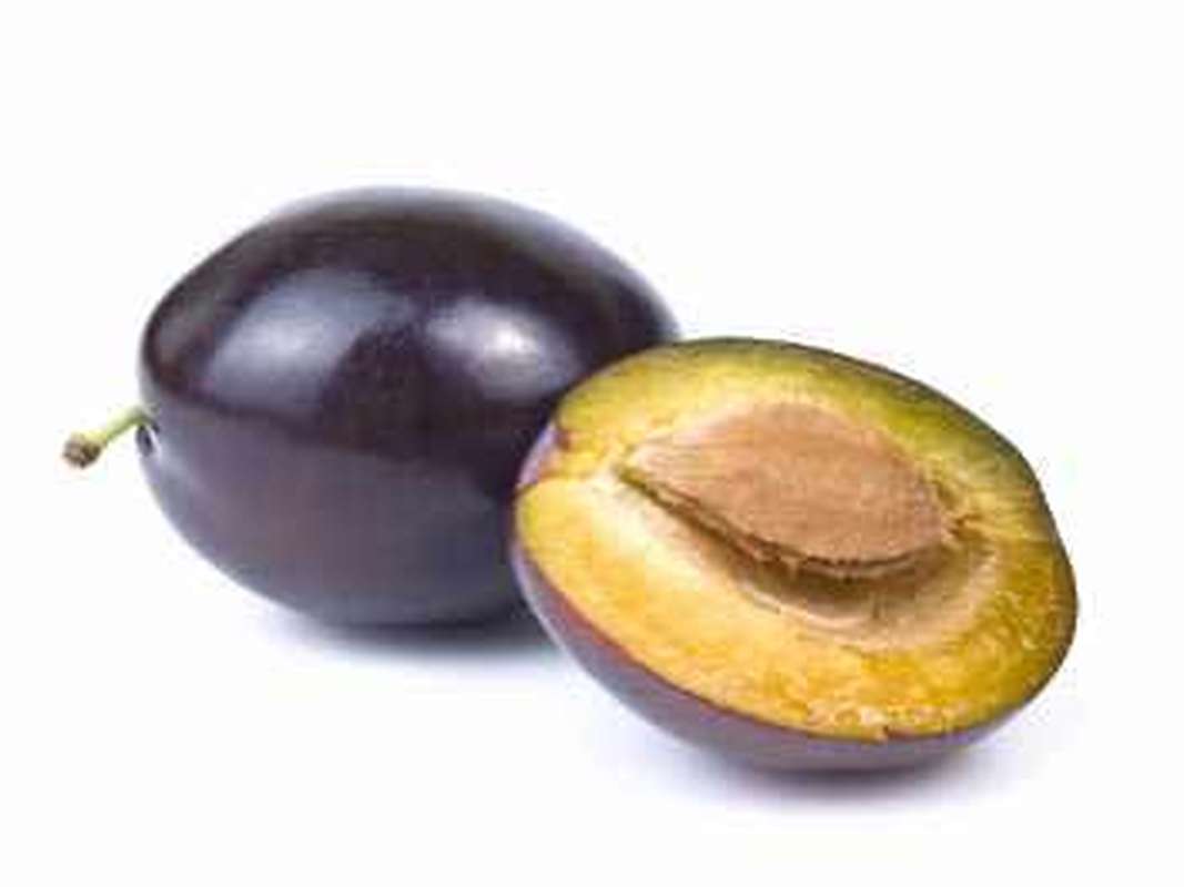 Prune rouge Quetsche BIO, France | La belle vie : Changez votre vision ...