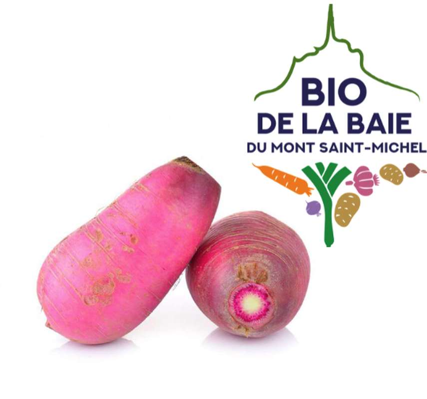 Radis pink meat de la baie du Mont-Saint-Michel BIO, France | La Belle ...