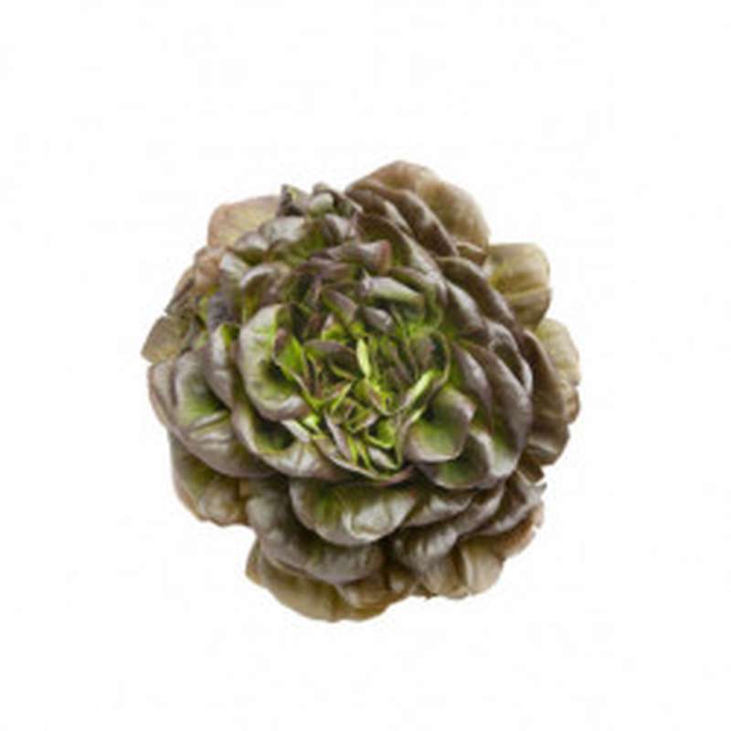 Salade Lolo Rossa BIO, France | La Belle Vie : Courses en Ligne ...