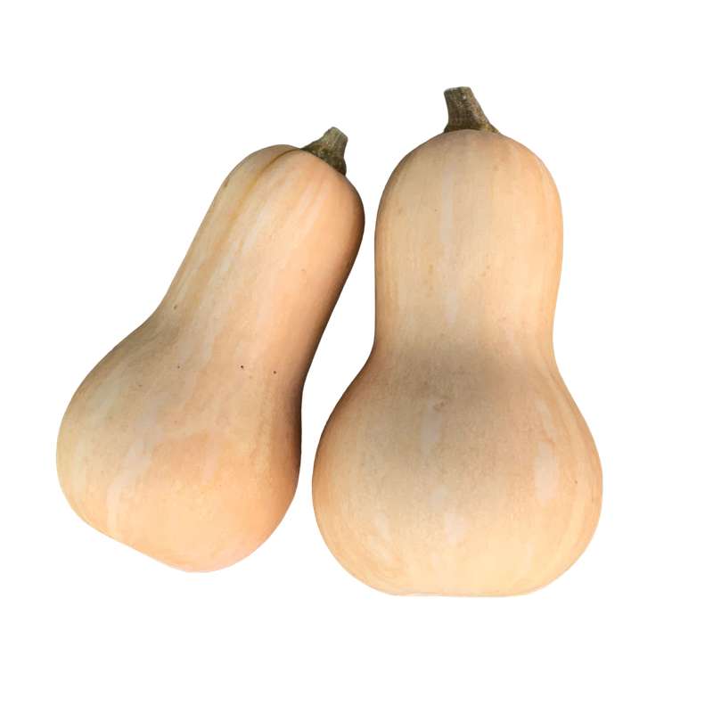 Lot de 2 Butternuts (calibre moyen), France | La Belle Vie : Courses en ...