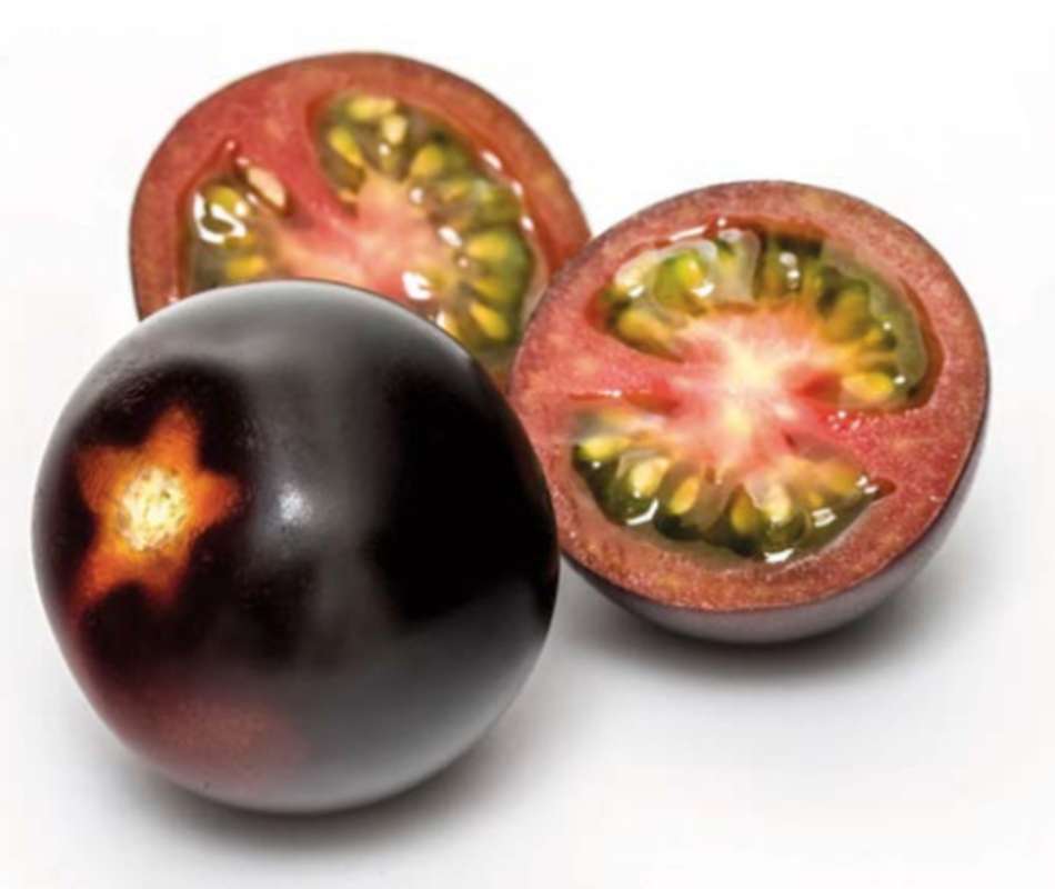 Tomates Yoom noires (petit calibre), France | La Belle Vie : Courses en ...