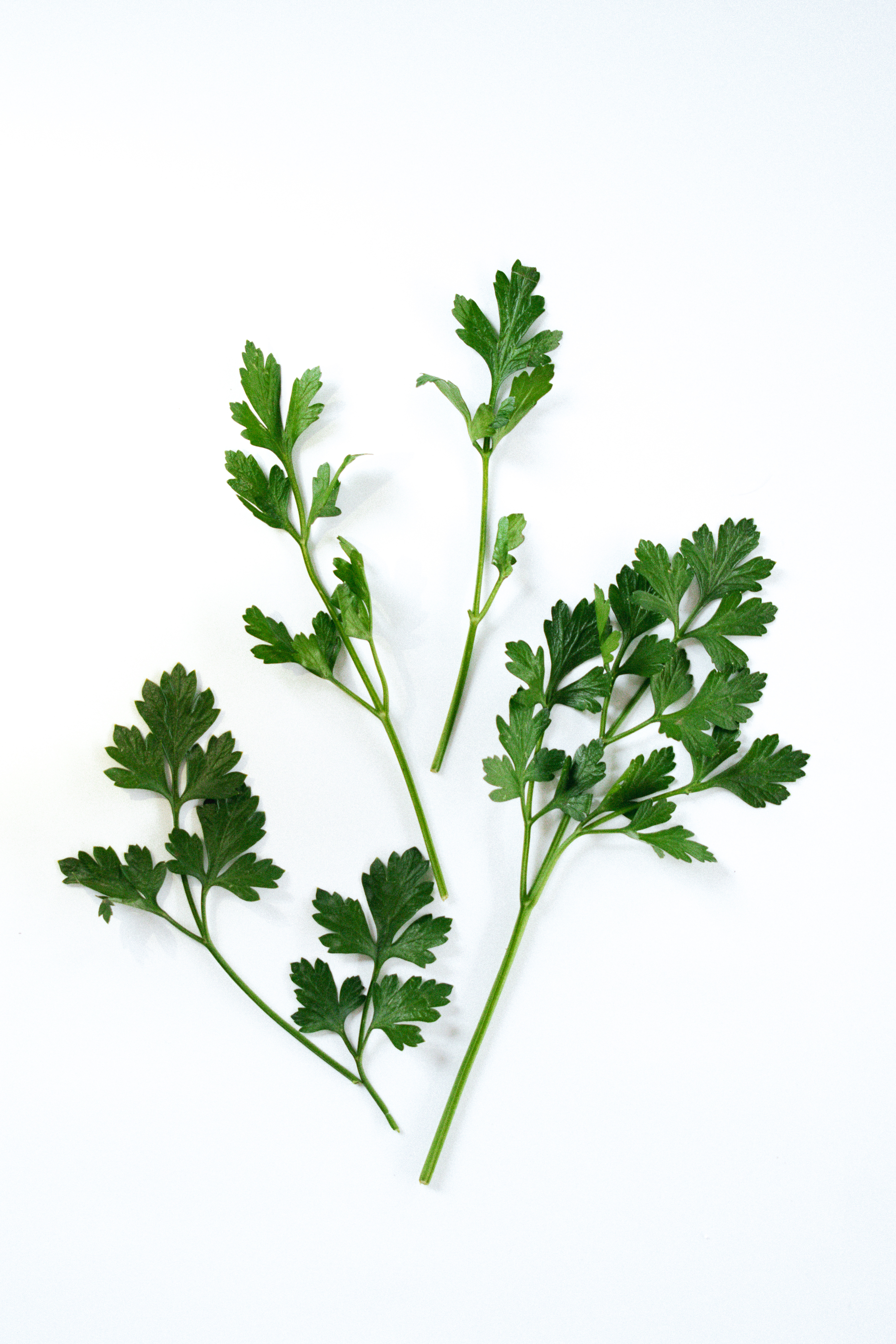 Aromates, herbes aromatiques | La belle vie : grande épicerie fine et ...