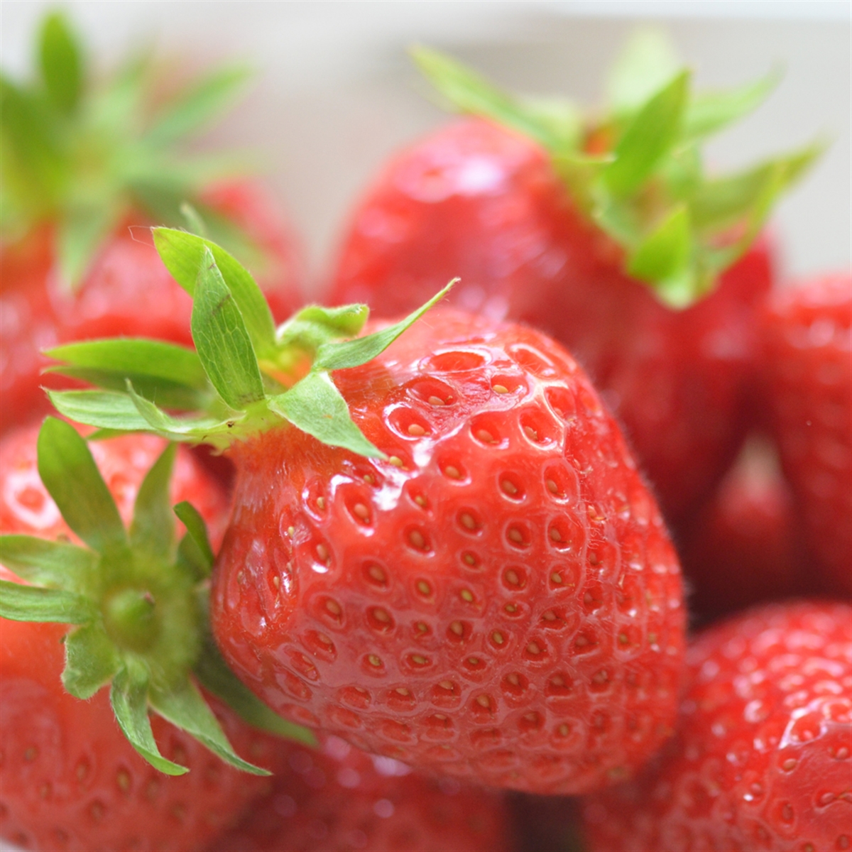 Barquette de fraise Cirafine BIO (barquette de 250 g), France | La ...