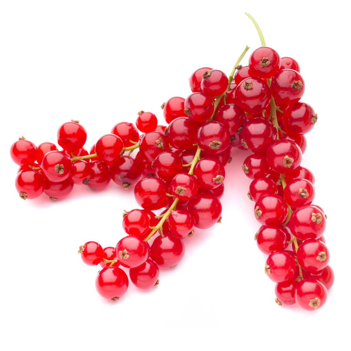 Barquette de groseille rouge Fr. BIO (125 g) | La belle vie : grande ...