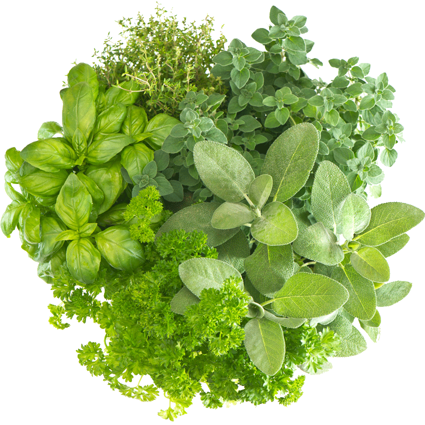 Aromates | La belle vie : grande épicerie fine et fraiche