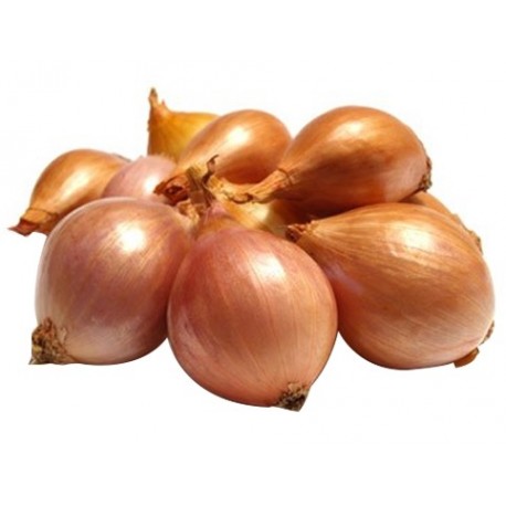 Ail, oignon, échalote | La belle vie : grande épicerie fine et fraiche